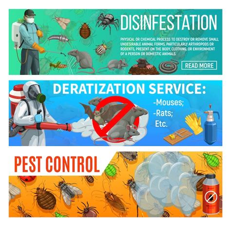 Premium Vector Disinfestation Deratization Insects Pest Control