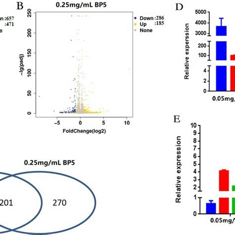 Differential Gene Expression Profiling And Verification Of B Cells Download Scientific Diagram
