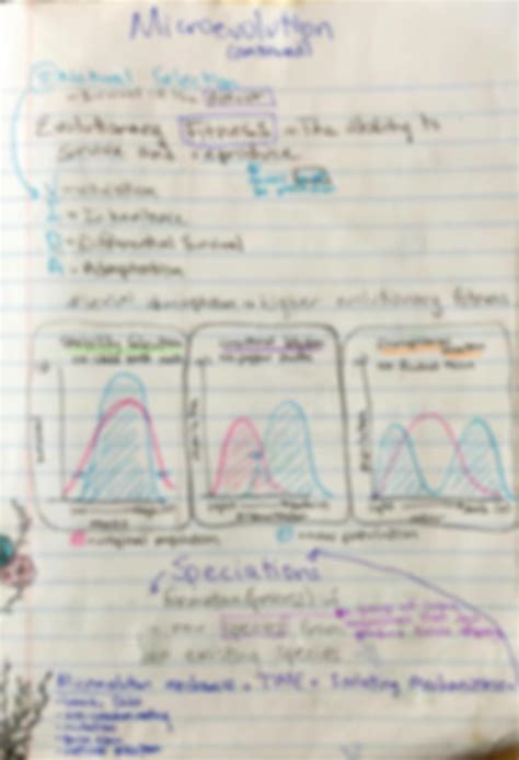 Solution Ap Bio Mutations Evolution And Speciation Notes Studypool