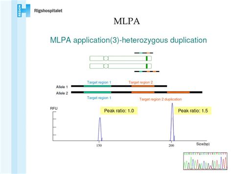 Ppt Mlpa Multiplex Ligation Dependent Probe Amplification Powerpoint Presentation Id