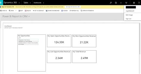 How To Generate Power Bi Report Based On Logged In User In Dynamics 365 Crm Online Restricted