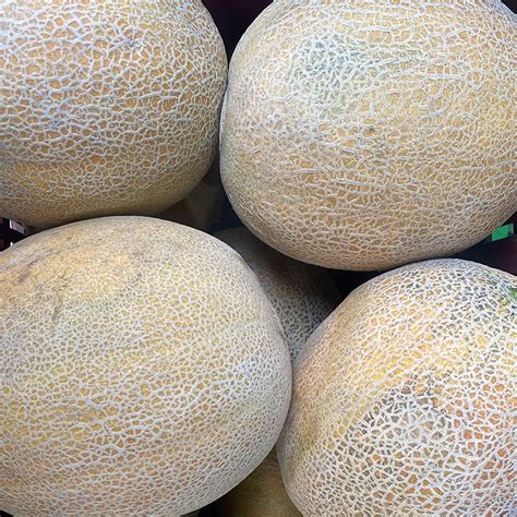 Melón Grande Domicilios En Toda Bogotá