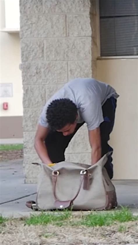 Bait Purse Prank Joey Salads Facebook