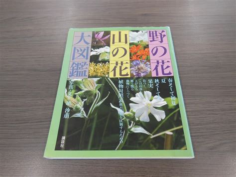 野の花 山の花大図鑑 5071 By メルカリ