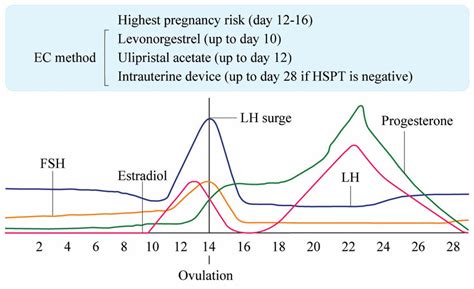 Relationship Of Menstrual Cycle Parameters To The Potential Usability