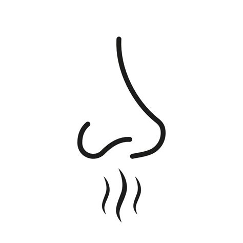 Pictograma De Contorno De Olfato De Olor Nasal Nariz Olor Humano Icono