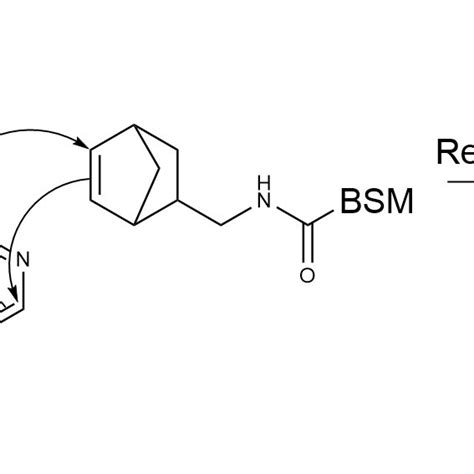 Figure A3 Edc Nhs Coupling Simplified Download Scientific Diagram