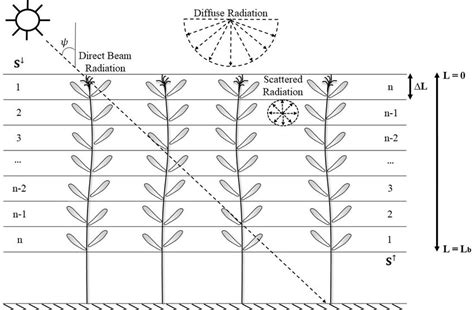 spatial mesh for resolution of the ode system download scientific