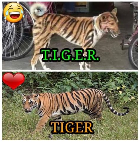 Rajarajan Govindaraju Posted On Linkedin