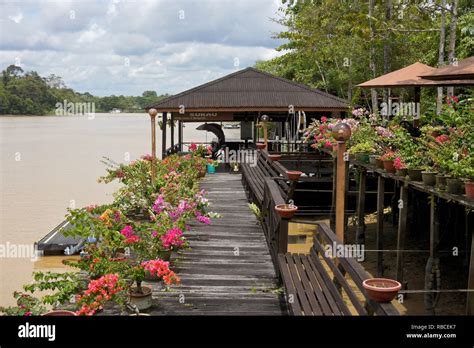 Kinabatangan Riverside Lodge And Sungai River Kinabatangan Sukau