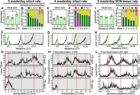 Group Mean Food Intake And Food Anticipatory Activity In Rats Provided