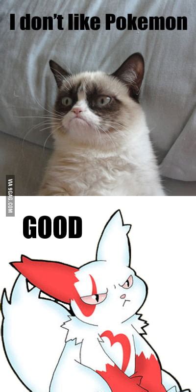 Grumpy Cat Pokemon Memes