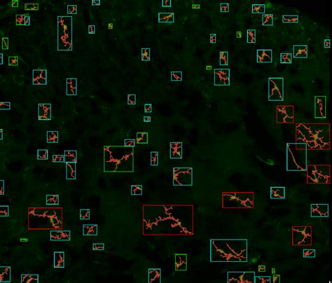 How To Use The Microglia Analyzer” Widget — Microglia Analyzer 001 Documentation