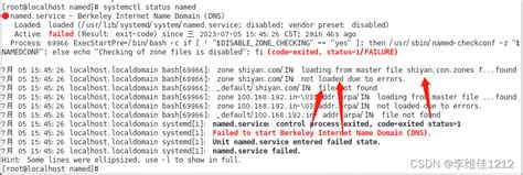 系统学习linux dns服务器（一） named zone 文件 csdn博客