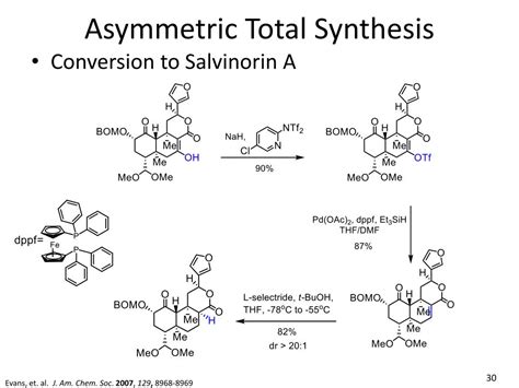 Ppt Biosynthesis Total Synthesis And Binding Affinity Of Salvinorin