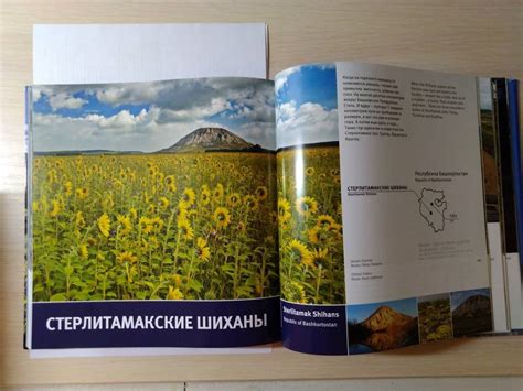 Книга: Урал. Urals. Антология лучшего - Светлана Логинова. Купить книгу ...