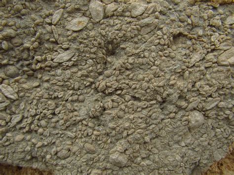 Limestone Geology Is The Way