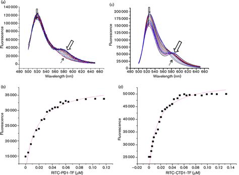 Steady State Fret Binding Assay Recording Of Fluorescence Emission Download Scientific Diagram