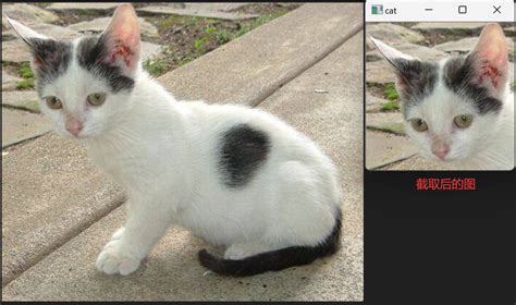 Opencv图像处理学习笔记——图像 视频的基本操作cv2读取yuv Csdn博客