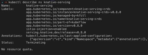 Kubeflow Namespace Get Stuck On Delete Issue Kubeflow Kubeflow GitHub