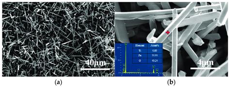 Sem Characterization Of A Zno Whiskers Grown On The Ball Milled 18