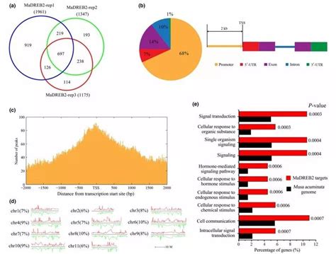 基因表达模式分析图基因表达模式图基因连第3页大山谷图库