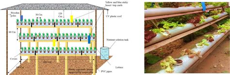 Hydroponic System Design Left And Hydroponics Experiment Right