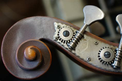 Bass Scroll Photograph By Rob Johnston Fine Art America