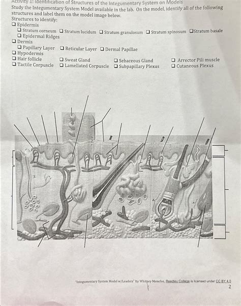 activity 1 identification of structures of the