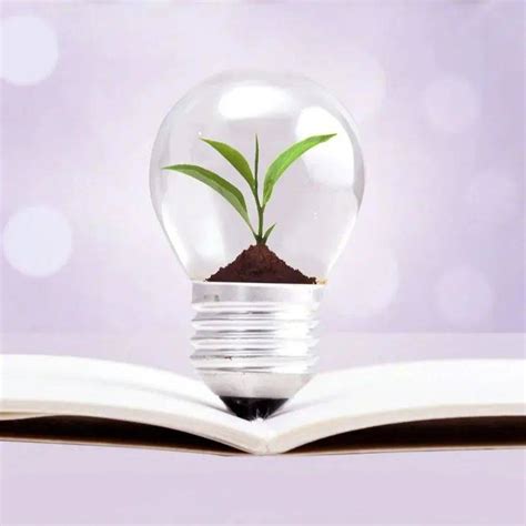 环保科普 这些关于碳排放的数据你知道吗？低碳生活衣食住行