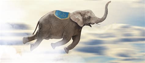 flying elephant