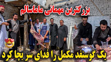 بزرگترین مهمانی ماماسالم یک گوسنفد مکمل را فدای سر بچا کرد Youtube