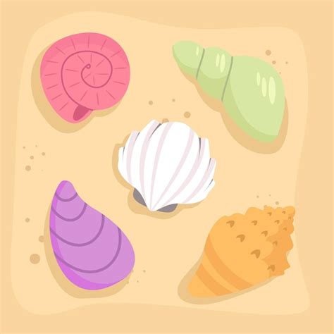 Premium Vector Hand Drawn Colored Sea Shells Ornament Background