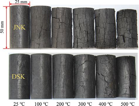 Macroscopic Morphology Of Coal Samples At Different Temperatures