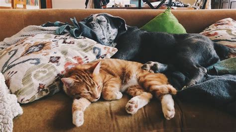 Michael Spohn Posted On Linkedin