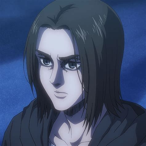 Aot Eren Hair Color