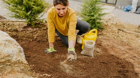 Best Time Plant Grass Seed The Best Time To Plant Grass Seed