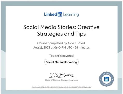 Alaa Elsaied On Linkedin Cibsummerinternship2023