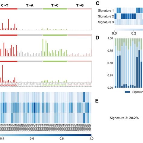 visualization of mutational signature analysis using data from blokzijl