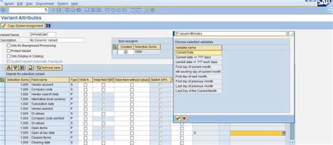 How To Use Dynamic Variables In The Variants Sap Community
