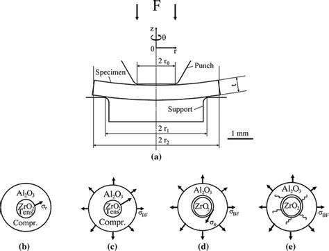 The Biaxial Flexure Testing Device A Biaxial Flexure Testing Of