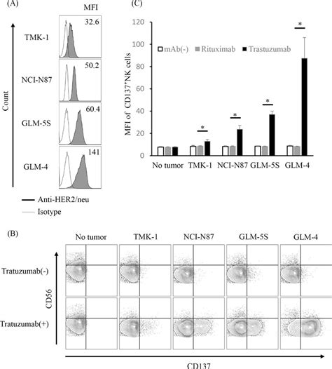 Cd137 Expression On Nk Cells Following Incubation Of Gastric Cancer Download Scientific Diagram
