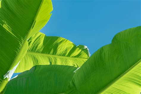 Linux挂载网络硬盘 我们的小屋