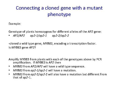 Using Mutants To Clone Genes Objectives What