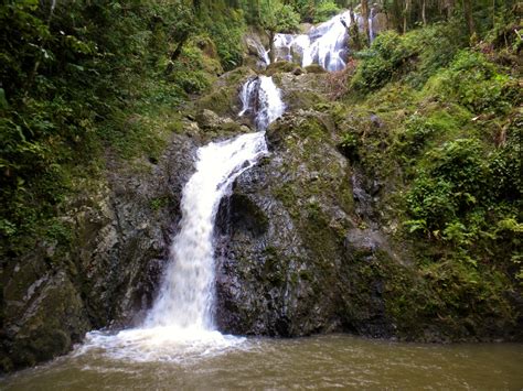 Argyle Falls Tobago Trail Pace