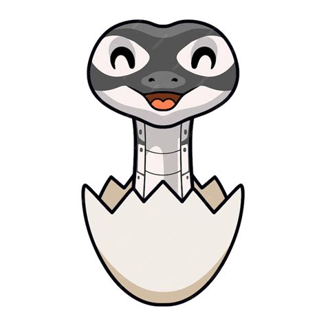 Premium Vector Cute Axanthic Ball Python Cartoon Inside An Egg