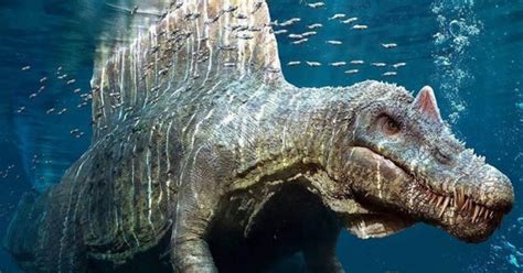 The Ancient Spinosaurus Fossil Sheds Light On The Giant Semi Aquatic Dinosaurs