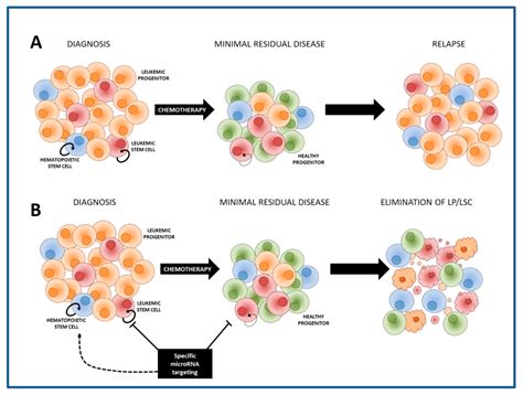Specific Depletion Of Leukemic Stem Cells Can Micrornas Make The