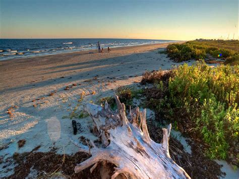 Galveston Island State Park Visit Galveston