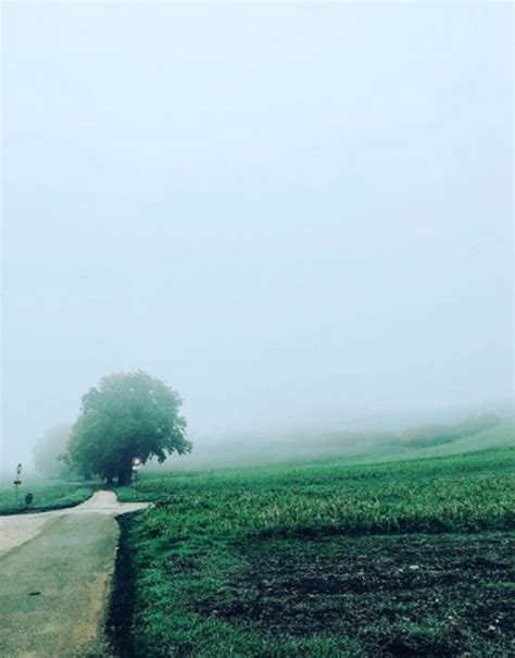 Iambic Pentameter Iambic Tetrameter